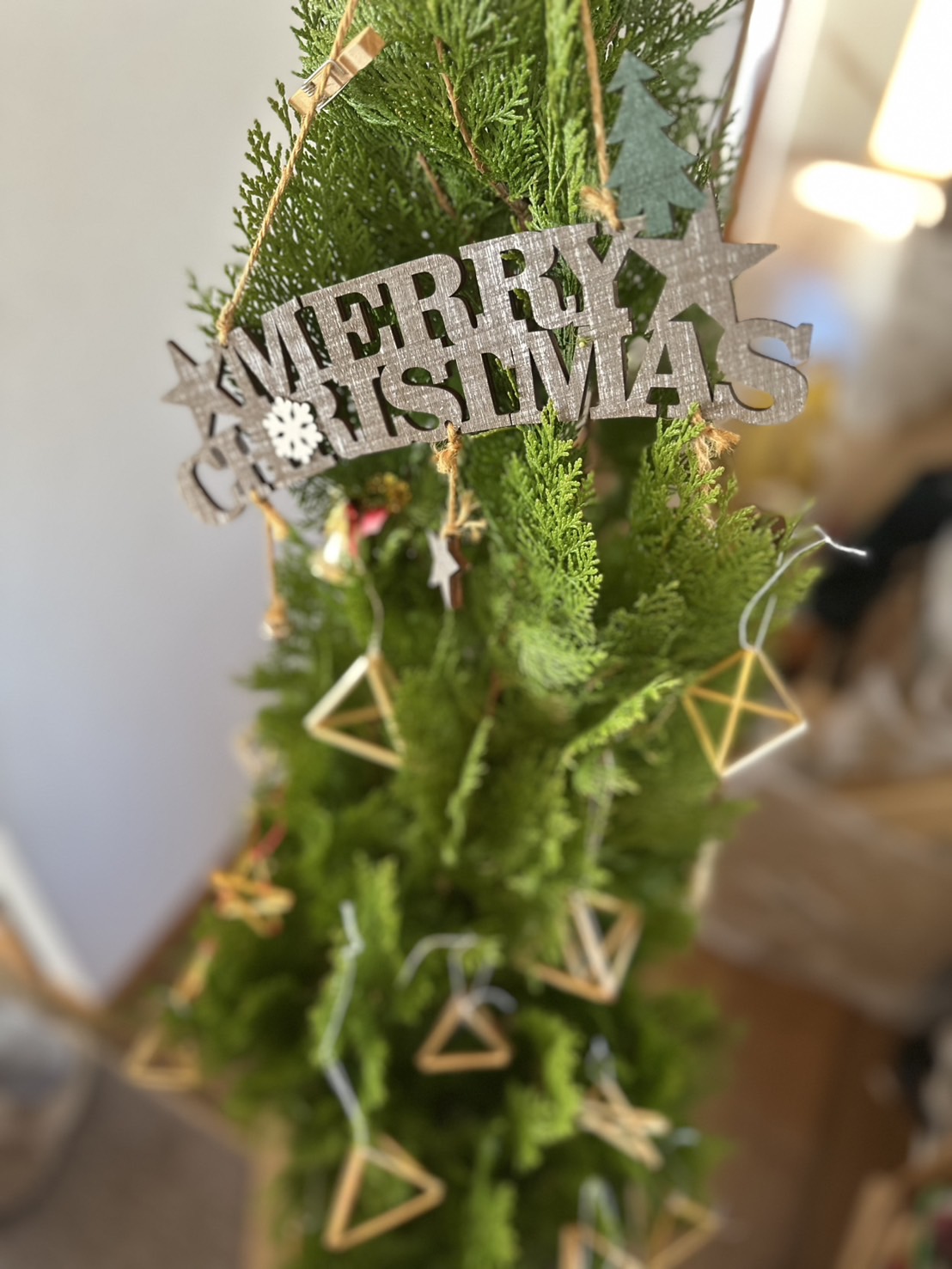 JOY!JOB KODAIRAプロジェクト参画～2024年12月12日活動報告～ | 多摩グリーンサービス | TAMA GREEN SERVICE